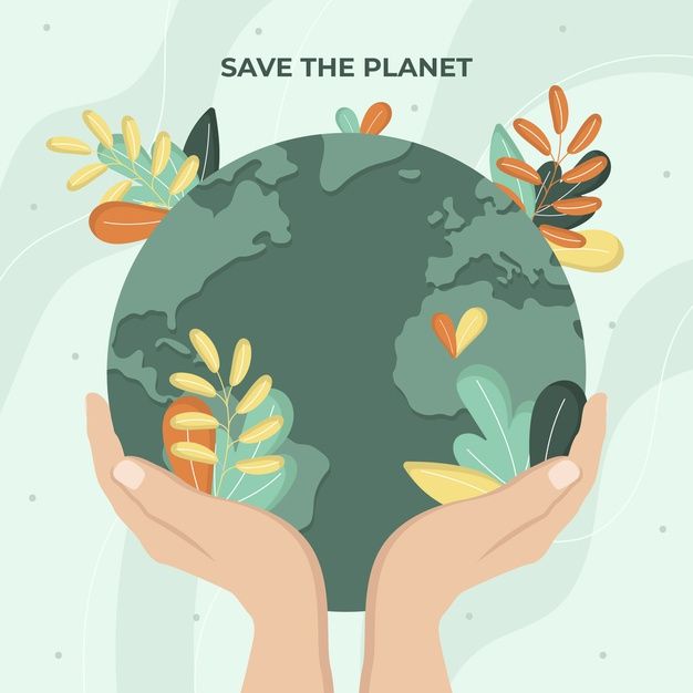 Sustainability Swap: Substitute brands for your everyday products ...