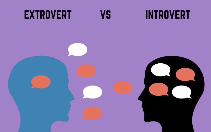 Silent Souls and Social Stars: The Different Personality Types